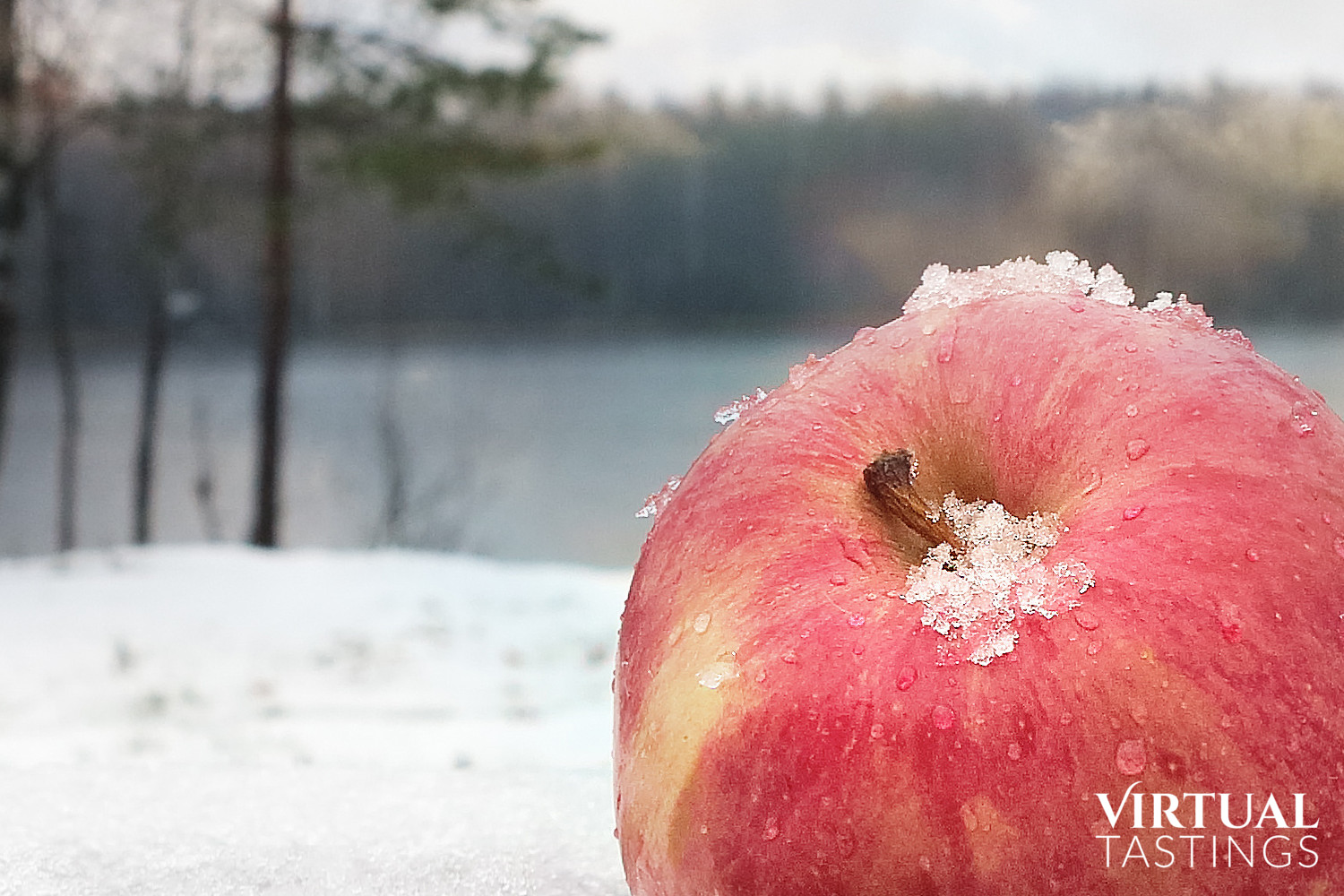 Cider Tastings – Virtual Tastings